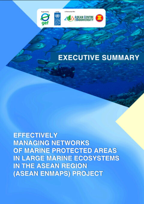 Project Executive Summary | ASEAN ENMAPS