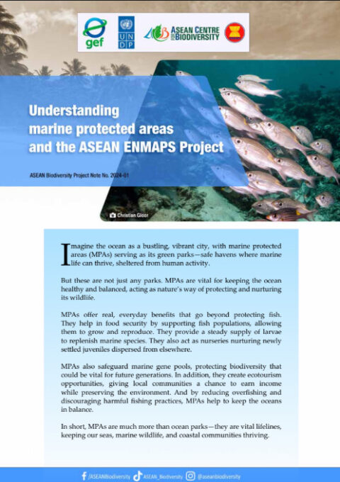 ASEAN Biodiversity Project Note No. 2024-01:Understanding marine ...
